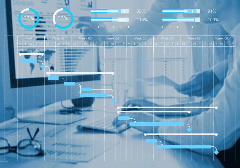 Make your Microsoft Office 365 Project A Success | Spherica